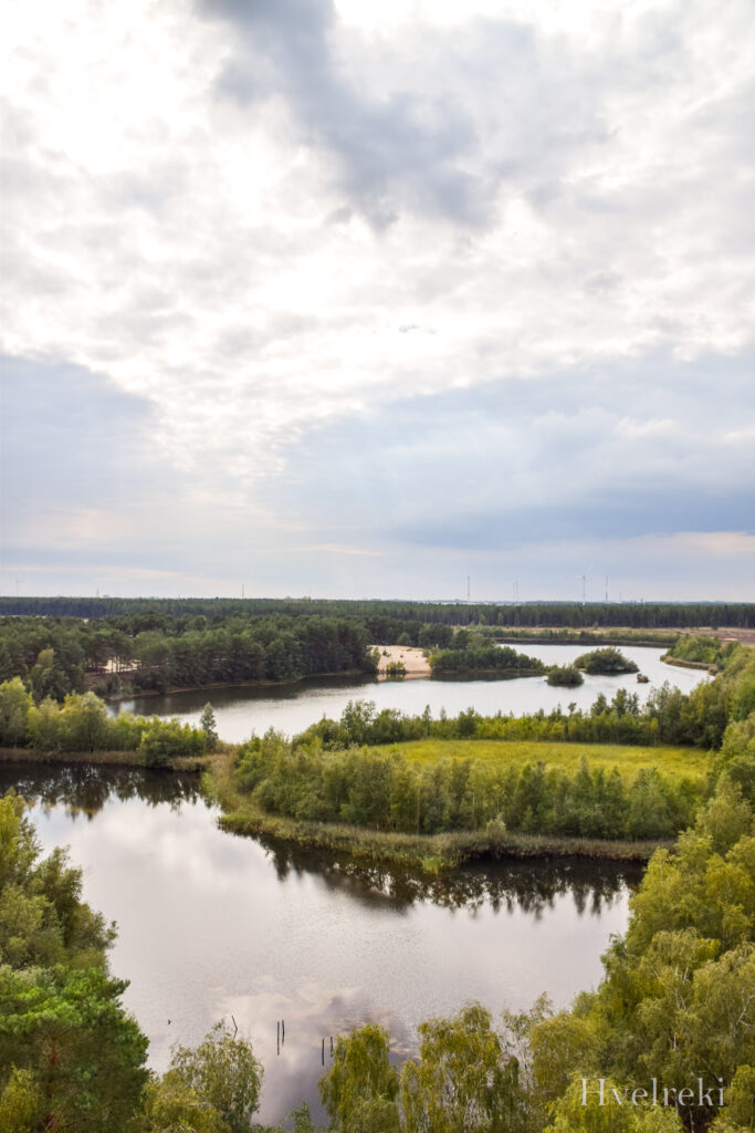 Le Sahara de Lommel : à la découverte du désert belge - Hvelreki